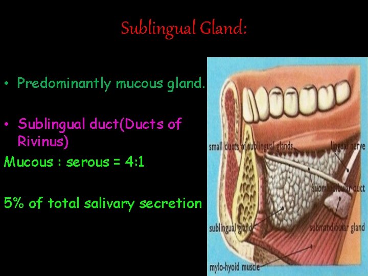 What is Digestion Breaking down of large complex
