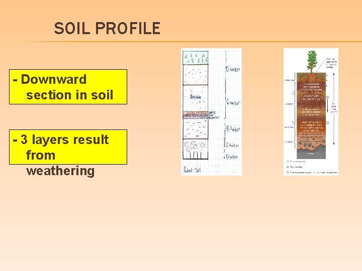 CLASSIFICATION OF SOIL PARENT MATERIALS Igneous rocks SEDIMENTARY