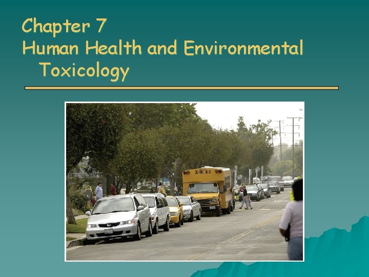 Chapter 7 Human Health and Environmental Toxicology Overview