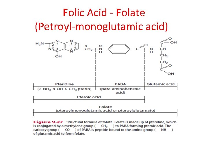 Folate Folate Folic acid is the term used
