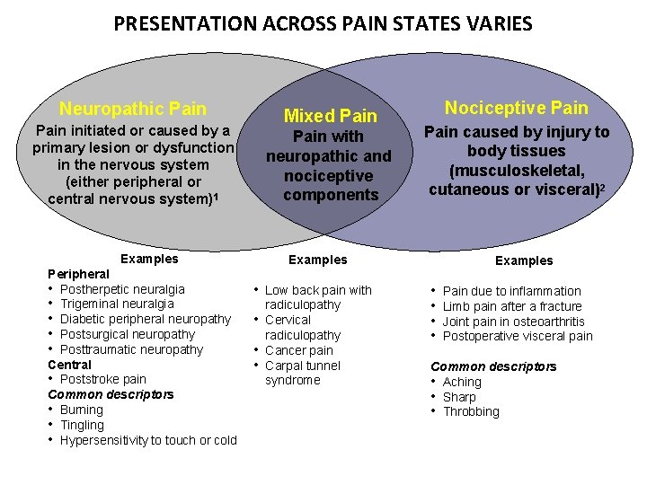 NYERI NEUROPATIK dr Komang Yunita Wiryaning Putri Sp