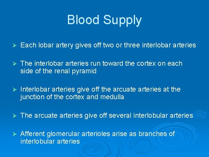 FUNCTIONAL ANATOMY OF KIDNEYS URETERS SUPRARENAL GLANDS By