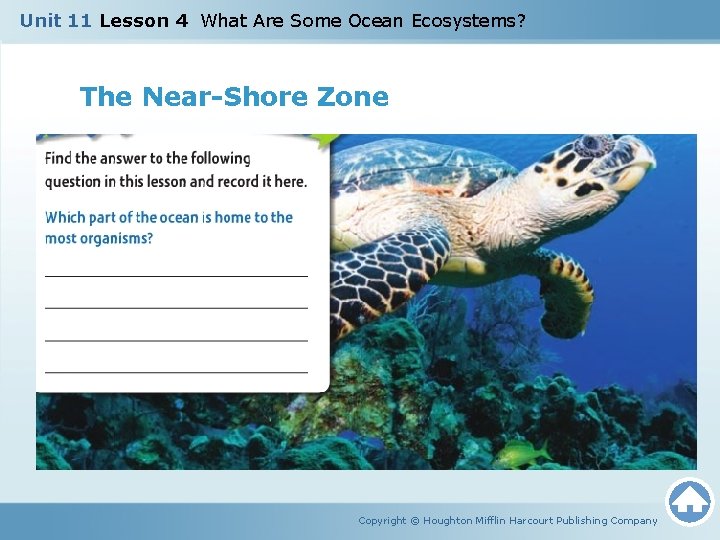 Unit 11 Lesson 4 What Are Some Ocean