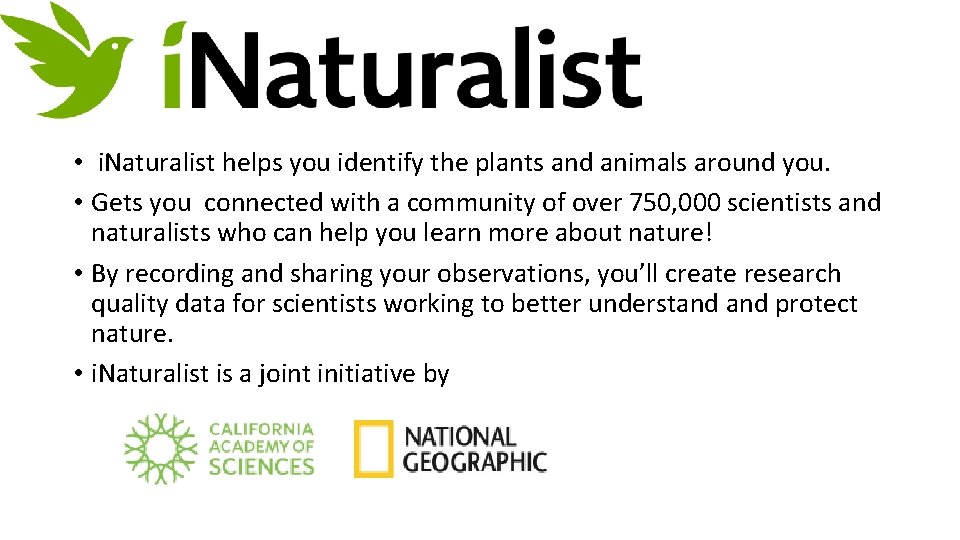 Tools to Identify Organisms and Contribute Observations to