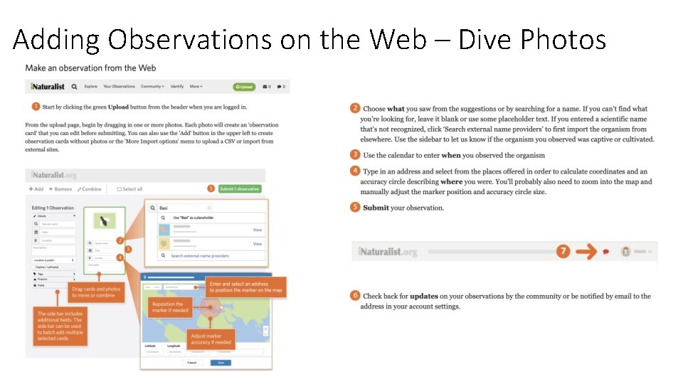 Tools to Identify Organisms and Contribute Observations to