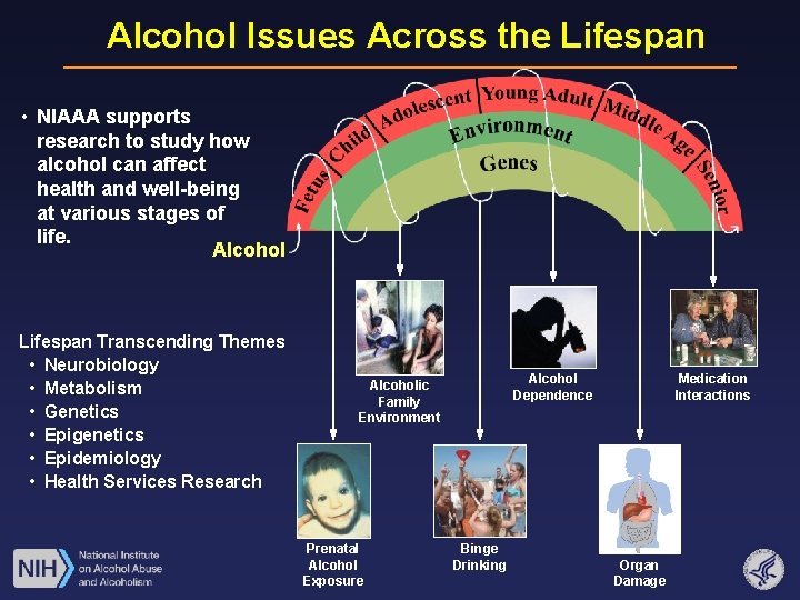 Report from the National Institute on Alcohol Abuse