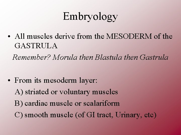 Muscle Growth Plasticity Embryology All muscles derive from