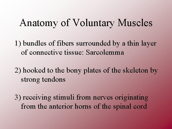 Muscle Growth Plasticity Embryology All muscles derive from