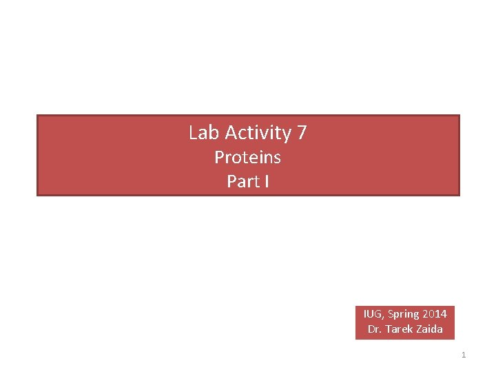 Lab Activity 7 Proteins Part I IUG Spring