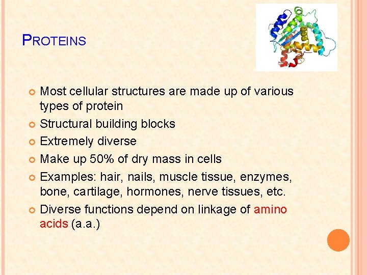 PROTEINS Building Blocks of Life PROTEINS Most cellular