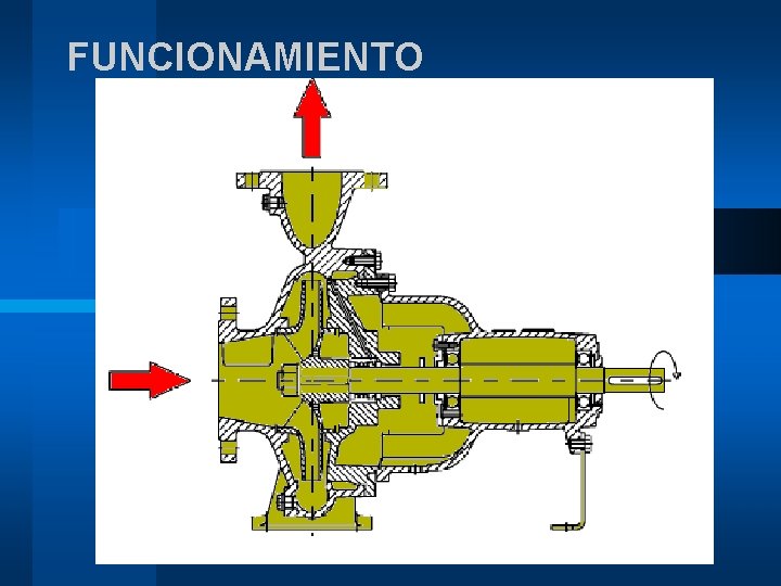 Partes de una Bomba Impulsores Impulsor abierto Impulsor