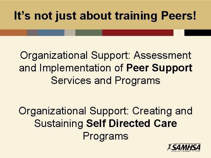 Best Practices in Peer Support Training Clarice Bailey