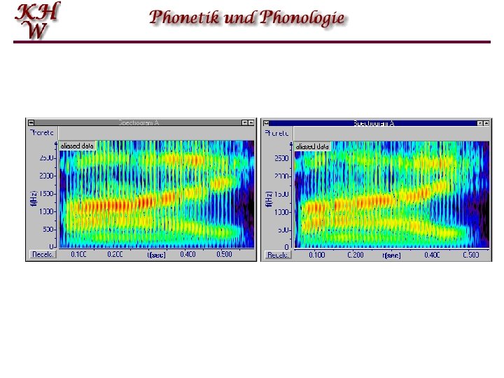 Einfhrung in die Phonetik und Phonologie Grundbegriffe Phonetik