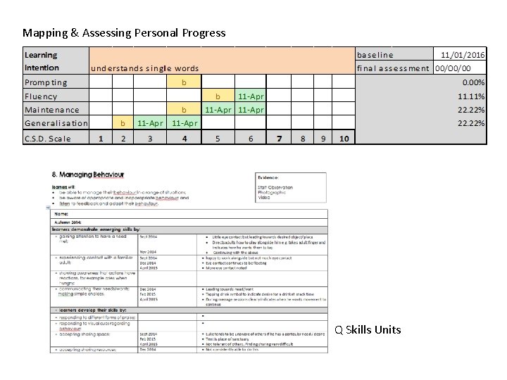 Assessment from the perspective of Castle Hill School