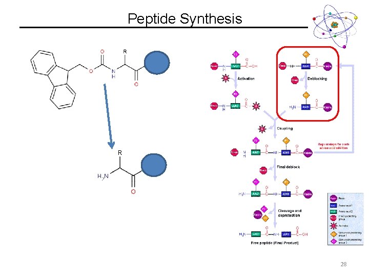 Lecture 7 Analysis of Proteins 1 Protein Characterization