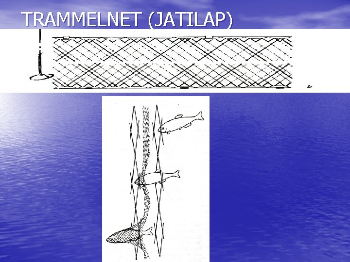 TEKNIK PENANGKAPAN IKAN DENGAN JARING INSANG GILLNET OLEH