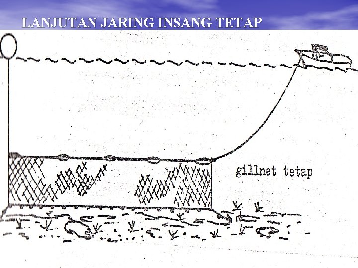 TEKNIK PENANGKAPAN IKAN DENGAN JARING INSANG GILLNET OLEH