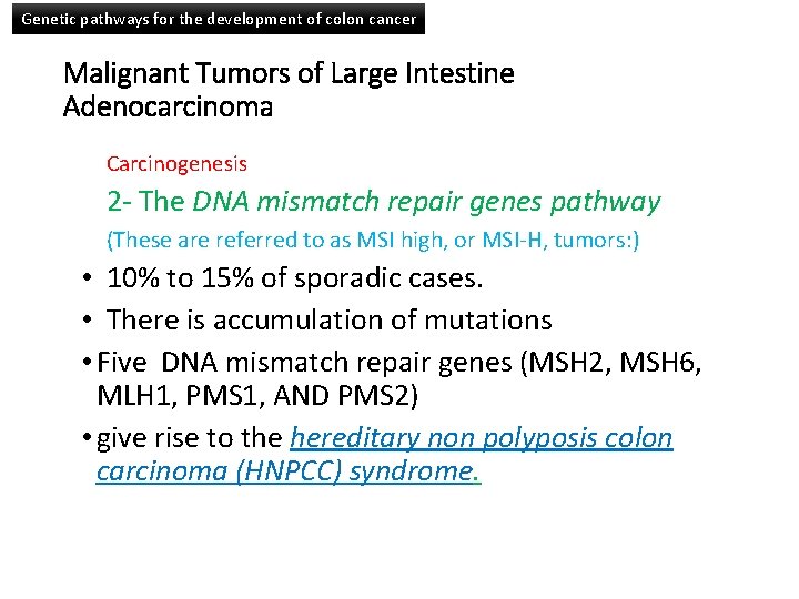 GNB Pathology 2019 Colonic tumors and polyps2 Malignant