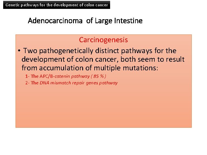 GNB Pathology 2019 Colonic tumors and polyps2 Malignant