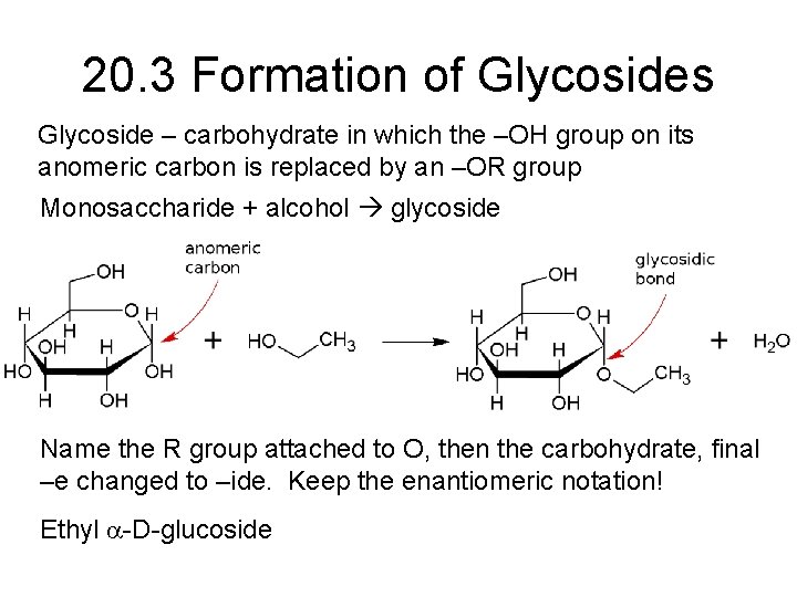 Biochemistry Chapter 20 Carbohydrates Problem Sets PS1 Sections