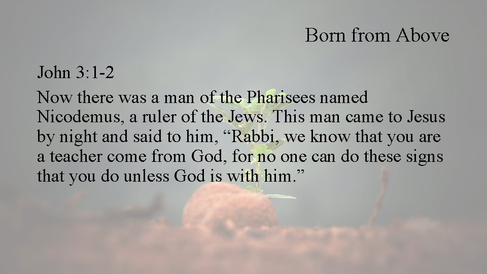 Born from Above Experiencing Renewal John 3 1