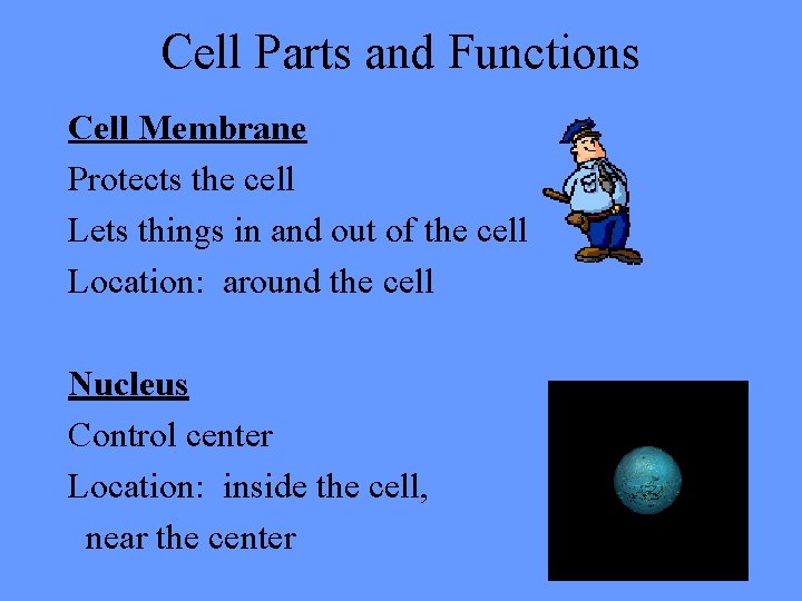 Biology 133 Cell Parts and Functions Cell Membrane