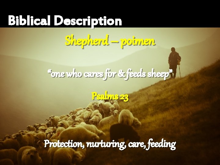 Shepherds Serving Sheep Biblical Description Character Elders Presbuteros