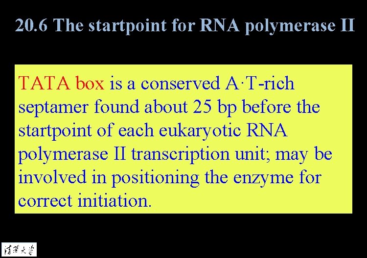 Chapter 20 Initiation of transcription 20 1 Introduction