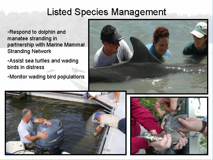 Estero Bay Aquatic Preserve Department of Environmental Protection