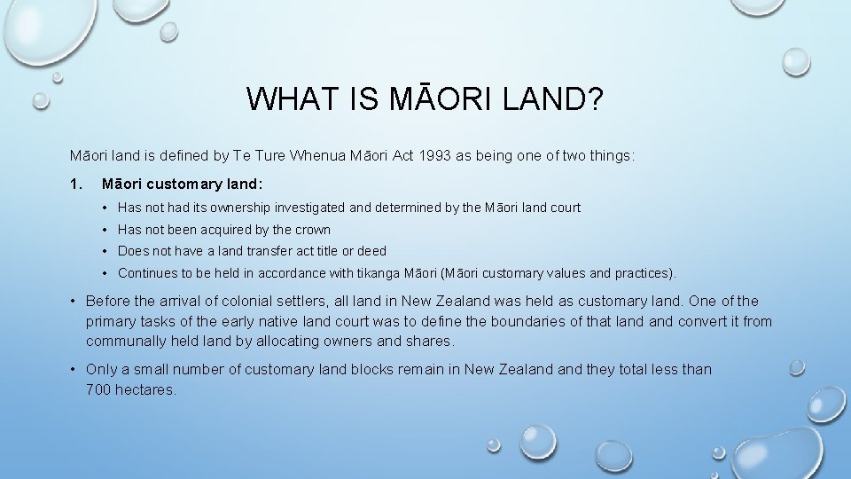 MAORI AGRIBUSINESS MAORI ECONOMY Worth 40 billion to