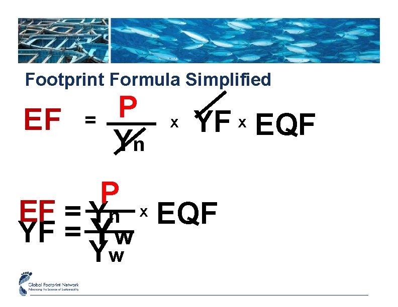 Ecological Footprint and Biocapacity Basic Equations May 23