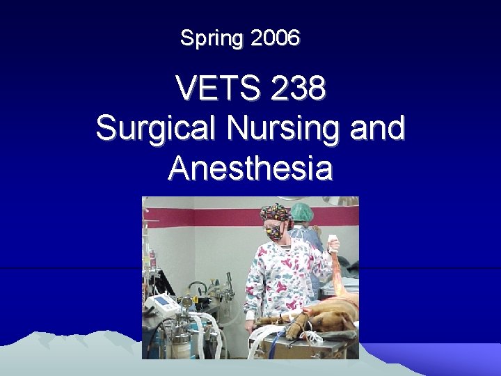 Spring 2006 VETS 238 Surgical Nursing and Anesthesia