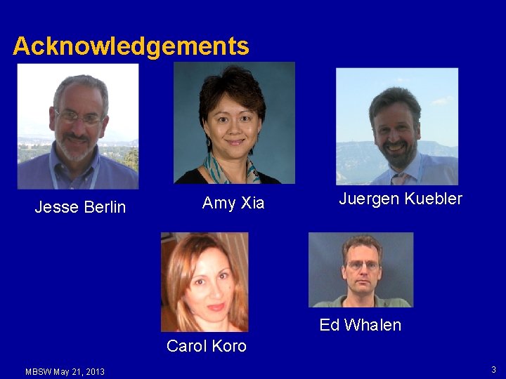 Brenda Crowe Research Advisor Eli Lilly and Company