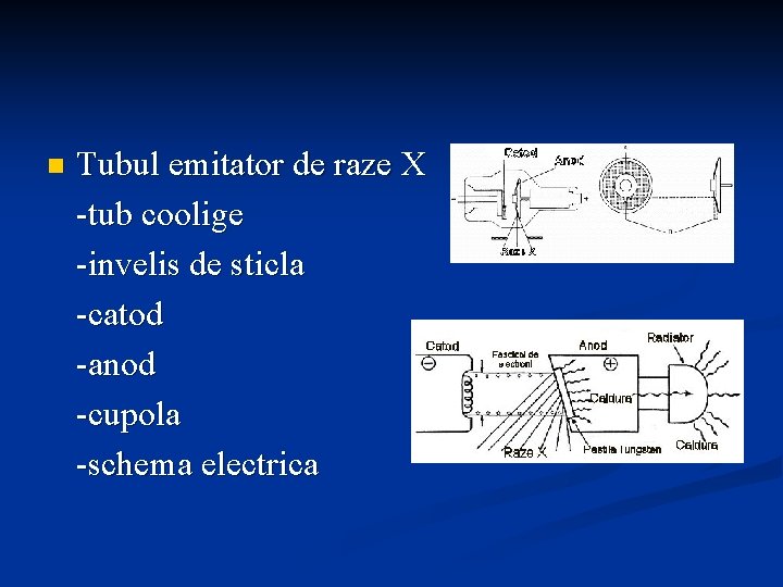 Istoric 8 noiembrie 1895 Wilhelm Conrad Roentgen descopera
