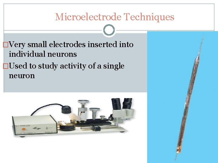 Methods and Tools for Studying the Brain Techniques