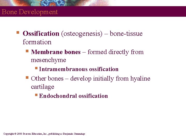6 HUMAN ANATOMY fifth edition MARIEB MALLATT WILHELM