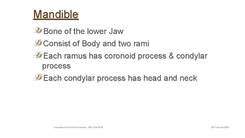 TEMPOROMANDIBULAR JOINT MUSCLES OF MASTICATION DEPARTMENT OF HUMAN