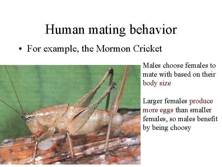 Human mating behavior Remember the purpose of science