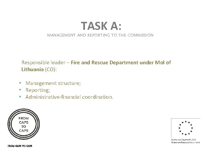 FROM GAPS TO CAPS Risk Management Capability Based