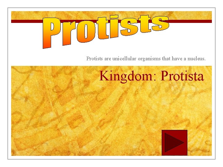 Protists are unicellular organisms that have a nucleus