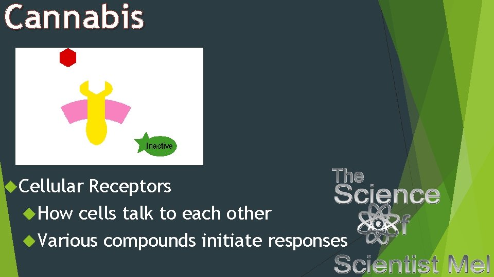 Cannabis 10 am CST 11 18 2017 Scientistmel