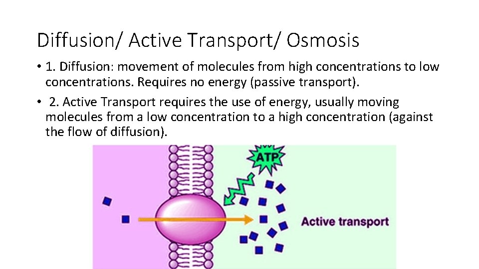Topic 1 Similarities and Differences Between Living Organisms