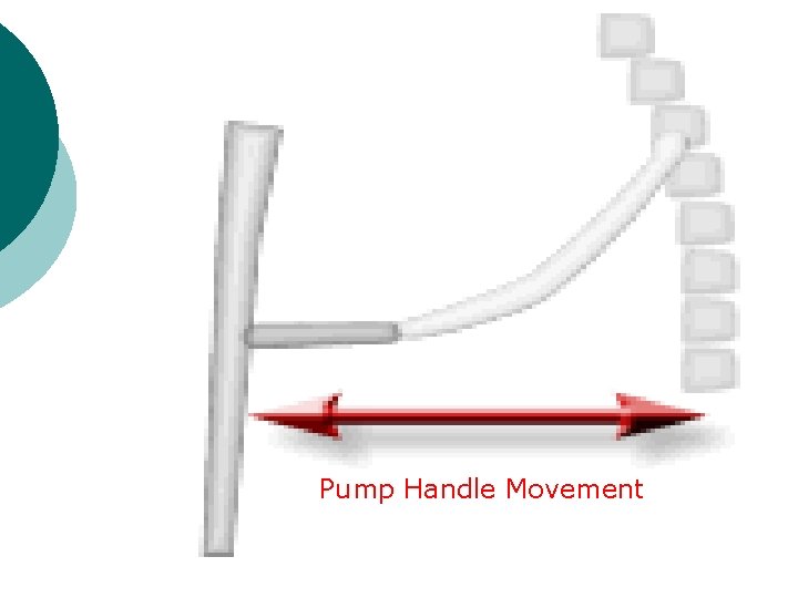 Dr Vaishali Sanjay Mandhana Asso Prof Anatomy MBBS