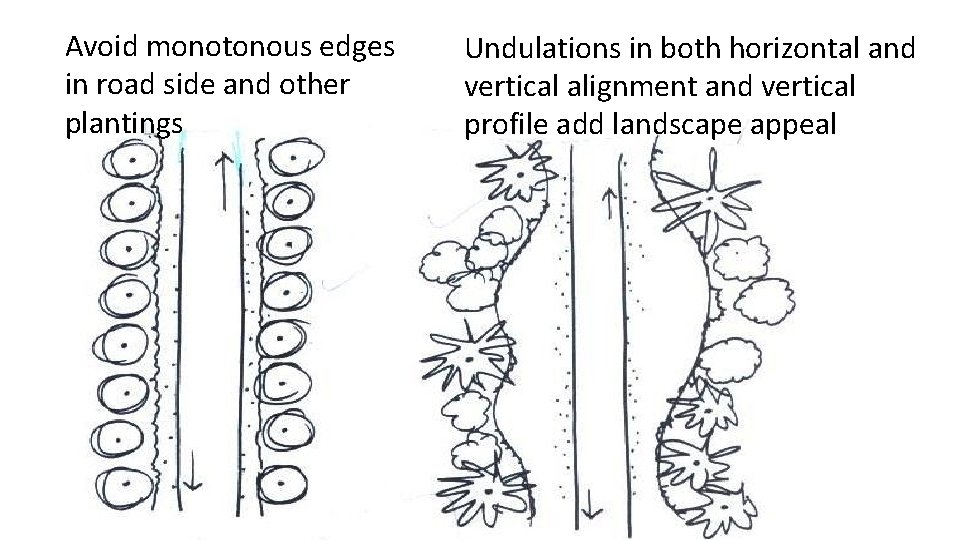 Functional uses of plants Slope and watershed protection