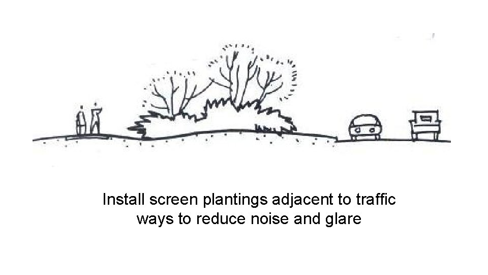 Functional uses of plants Slope and watershed protection