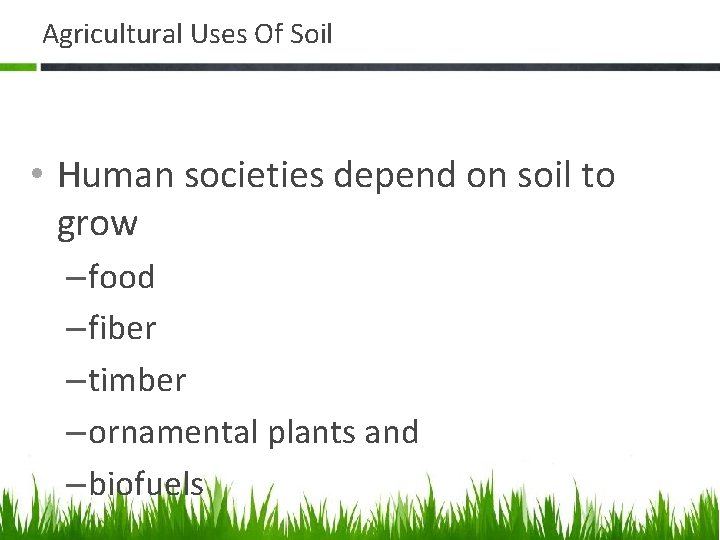 The Importance of SoilUnit 1 A The Importance