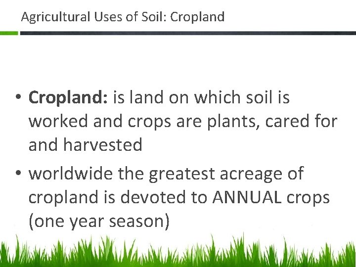 The Importance of SoilUnit 1 A The Importance