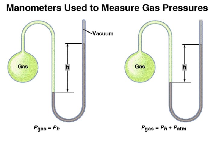 Gas Laws Elements that exist as gases at