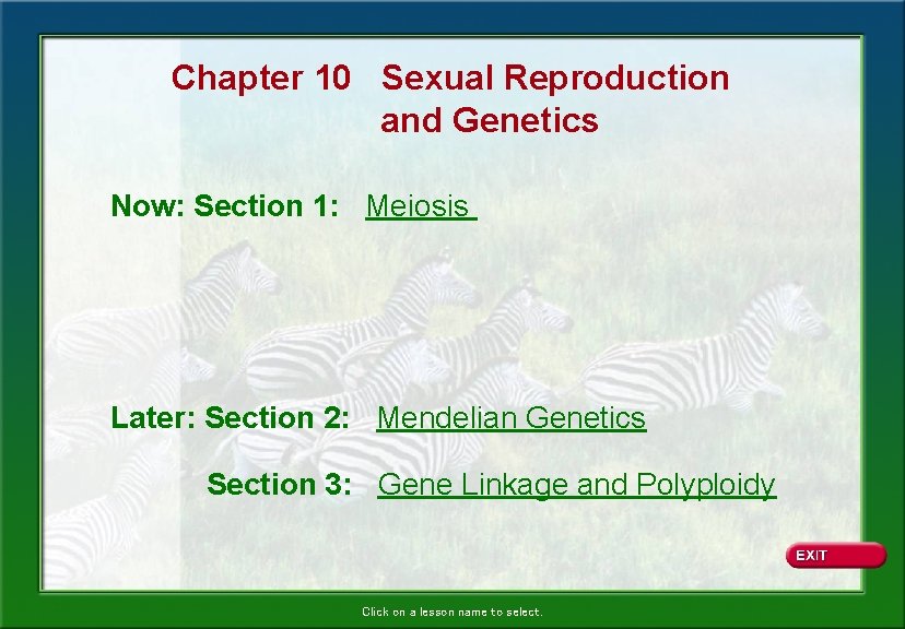 Chapter 10 Sexual Reproduction and Genetics Now Section