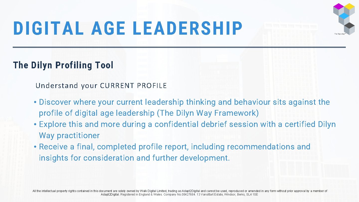 DIGITAL AGE LEADERSHIP The Dilyn Profiling Tool Understand